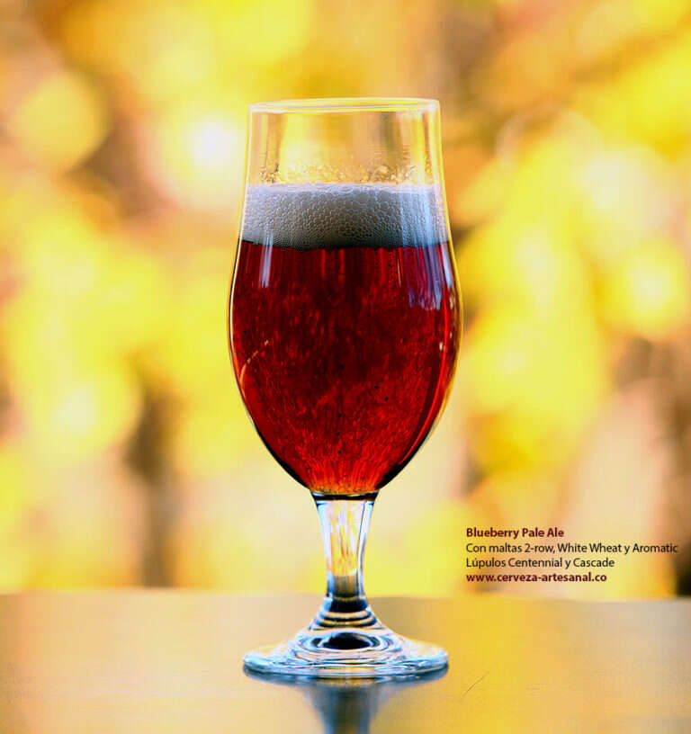 cerveza con frutas | Cómo hacer cerveza artesanal en casa