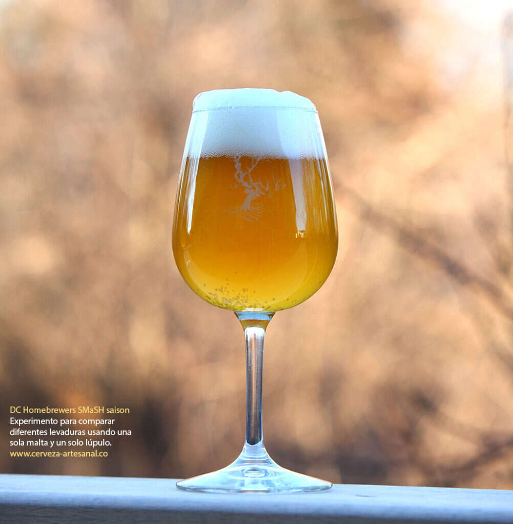 Lúpulo Sterling | Cómo hacer cerveza artesanal en casa