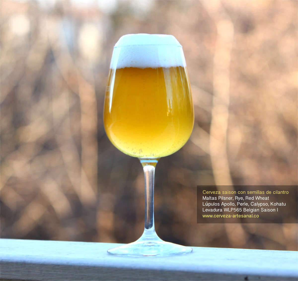 Cómo hacer cerveza artesanal en casa | Cómo hacer cerveza artesanal en casa