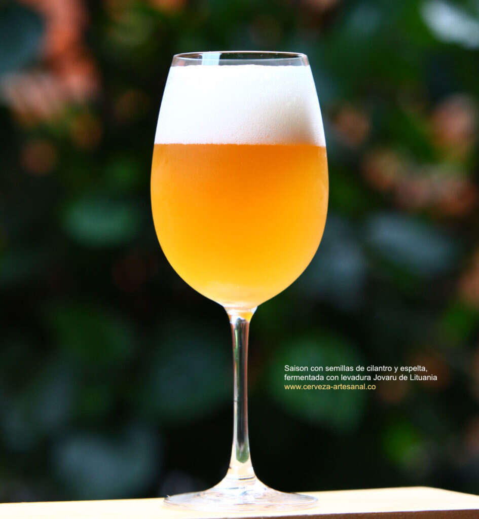 Saison | Cómo hacer cerveza artesanal en casa