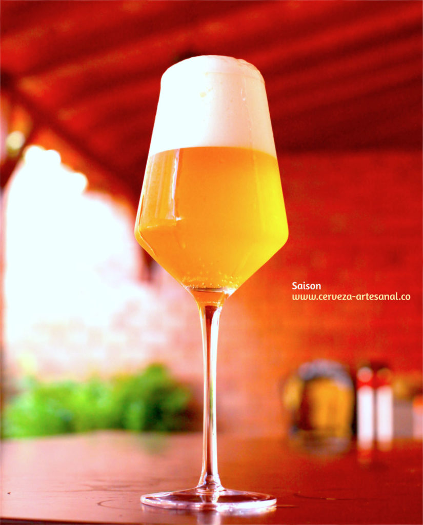 Tips para preparación de cerveza | Cómo hacer cerveza artesanal en casa