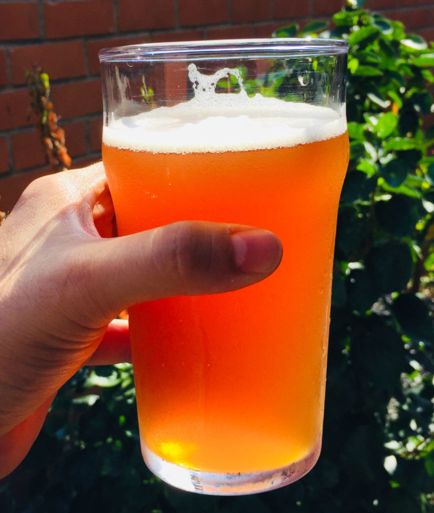 Rye IPA clásica con técnicas modernas de lupulado | Cómo hacer cerveza ...